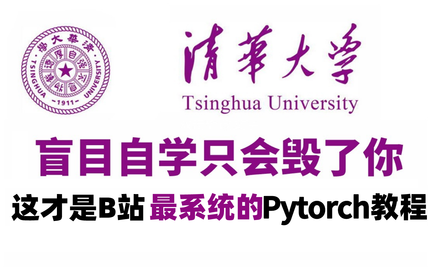 清华大佬终于把【PyTorch教程】给讲明白了!全程干货无废话,整整150...