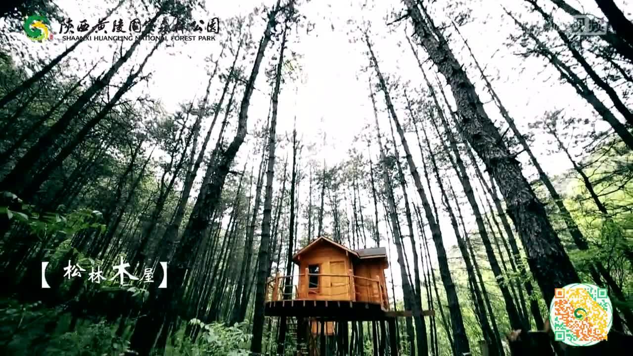 宣传片:陕西黄陵国家森林公园·来陕北给你点颜色看看