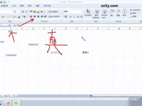 excel表格5.在EXCEL输入与简单编辑数据
