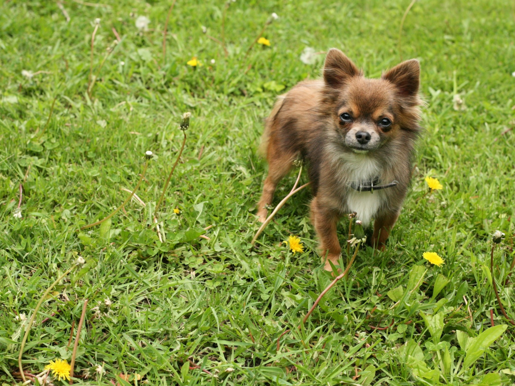 一朝天子一朝臣吖 