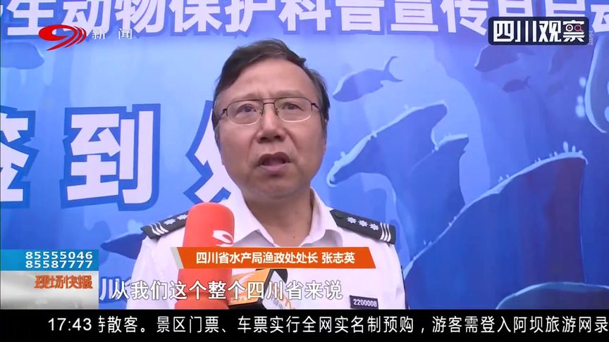 共建和谐美丽中国!2019水生野生动物保护科普宣传月正式启动!