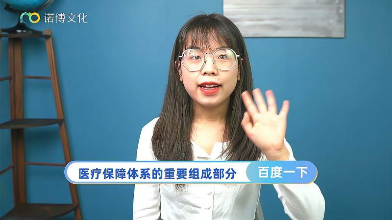 医疗保障体系的重要组成部分