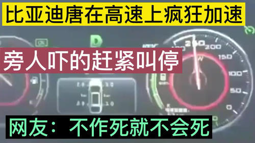 比亚迪-唐在高速上疯狂加速,旁人吓的赶紧叫停,网友:不作不会死