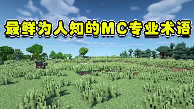 我的世界:教你如何自定义你的出生道具!菜鸟秒变大佬!