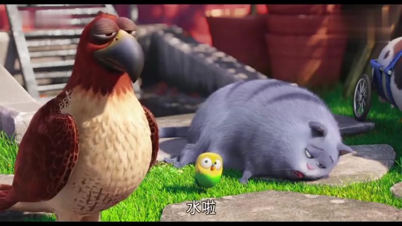 好多可爱的卡通动物