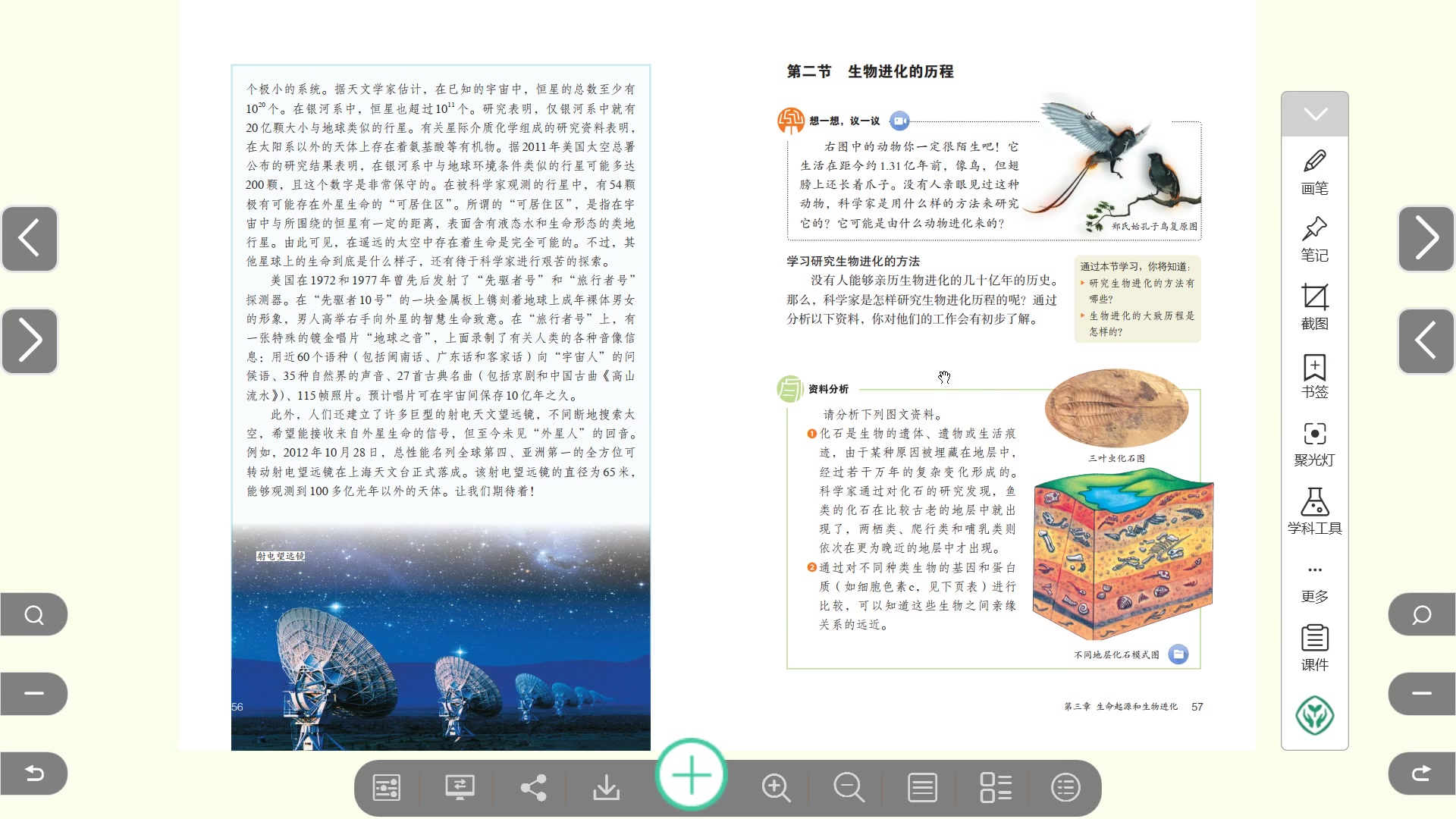 7.3.2生物进化的历程(3.4)