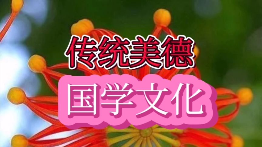 弘扬传统文化,国学文化经典语录!