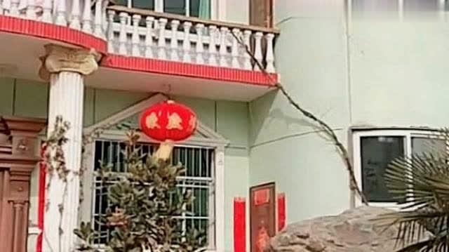 农村自建小别墅,院子里的绿化和石头摆放,真有品味