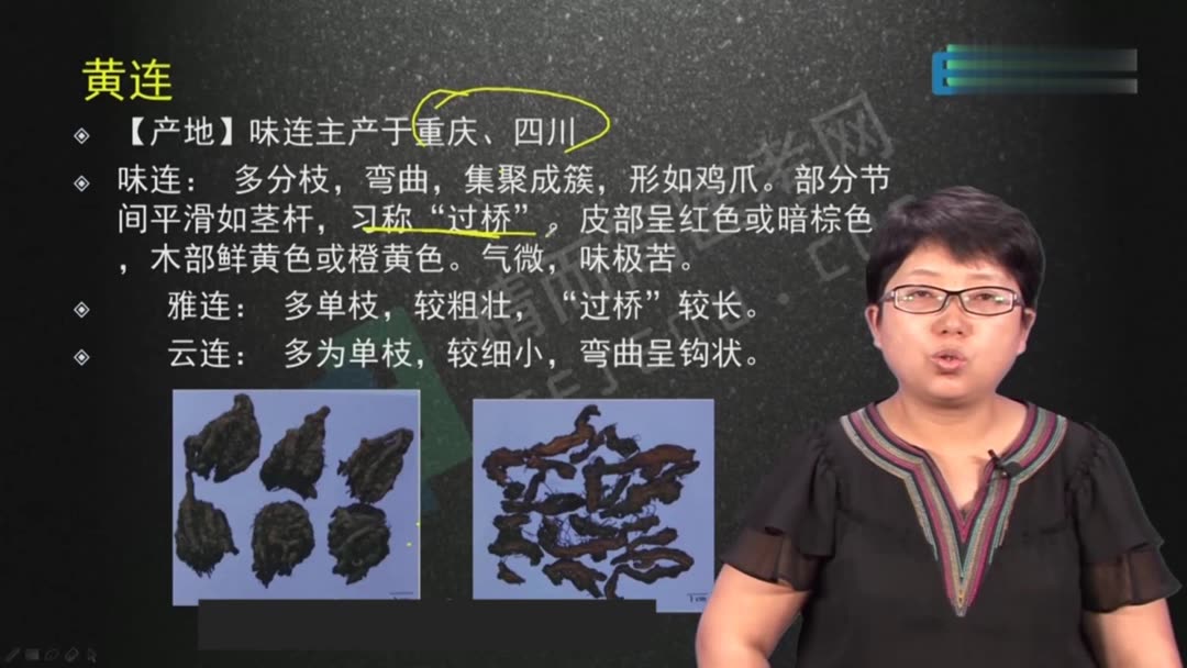 哑巴吃黄连有苦说不出,认识黄连、升麻、防己和元胡这4个中药