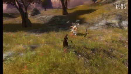 激战2 游侠无UI效果!