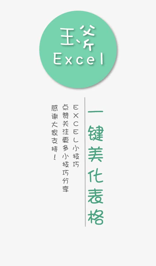 给数据表格进行美化