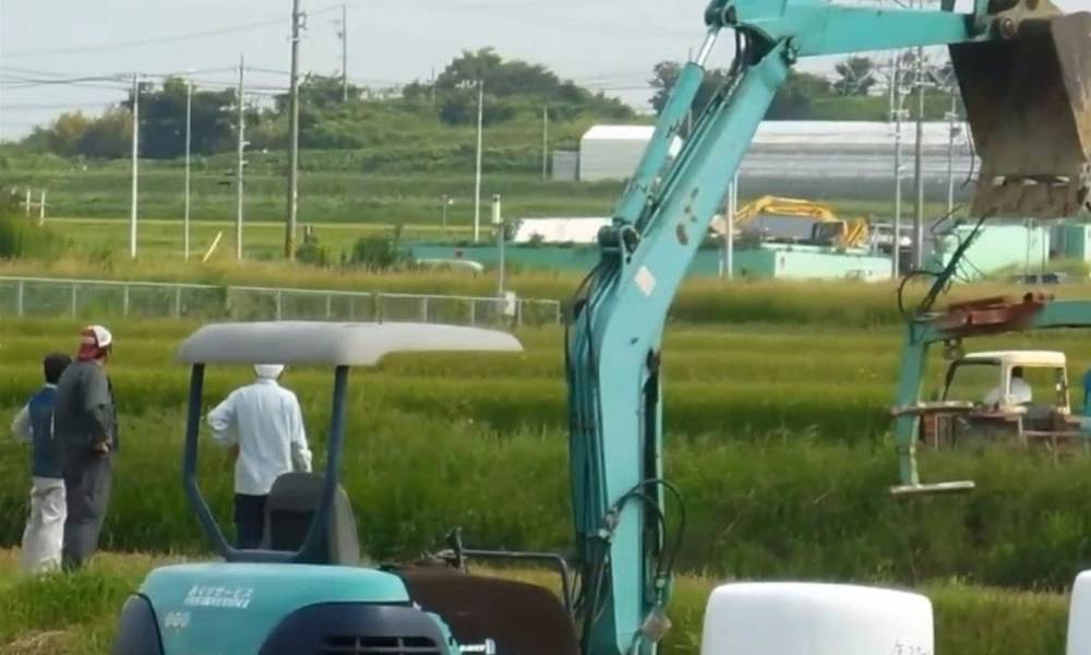 日本经济这么发达,为什么人们却爱去农村种地?看完羡慕日本农民