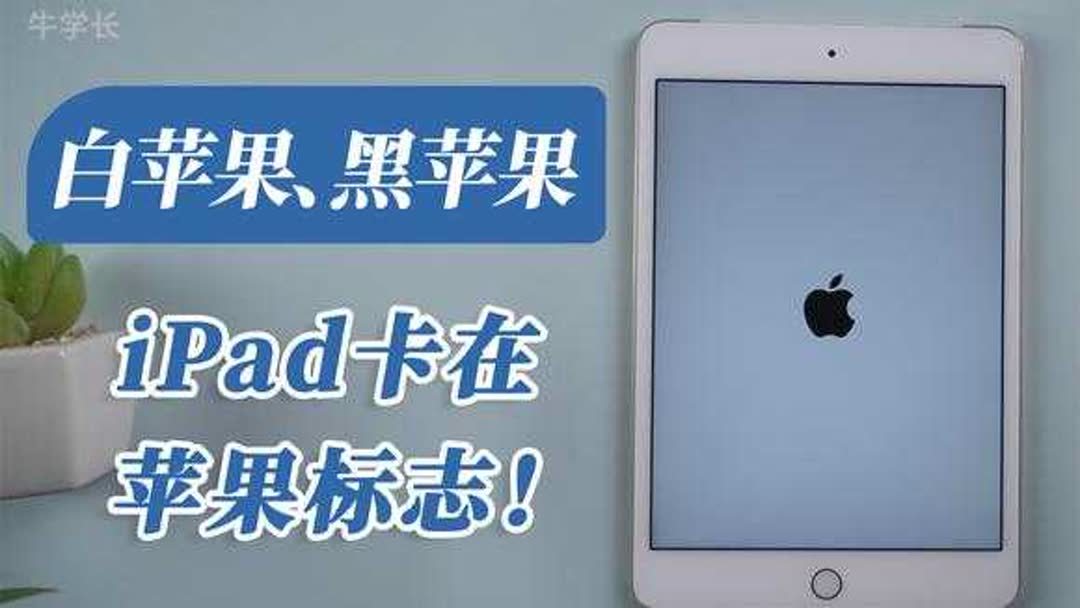 iPad开机处于黑苹果、白苹果Apple标志,如何修复同时保留数据?