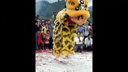 2012竹园醒狮安德庙会精彩图片剪辑