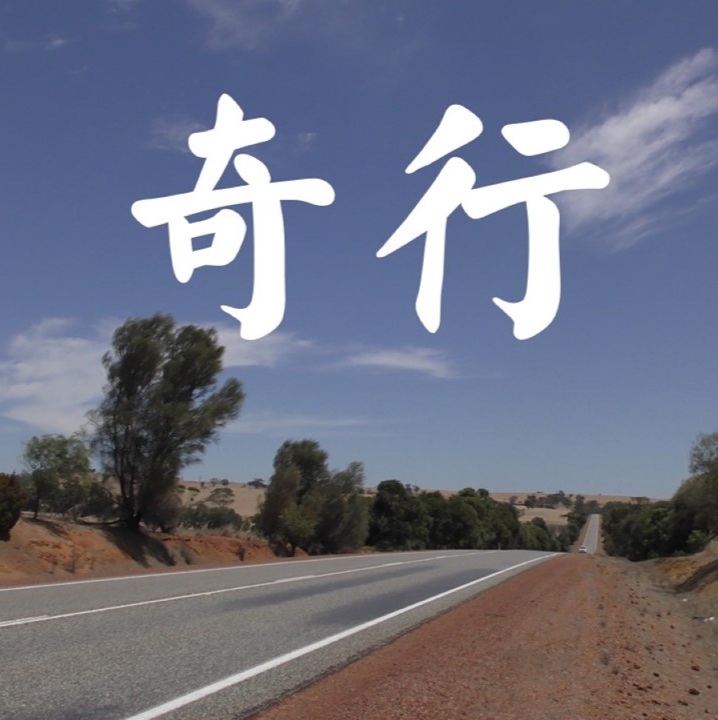 环球奇行记 