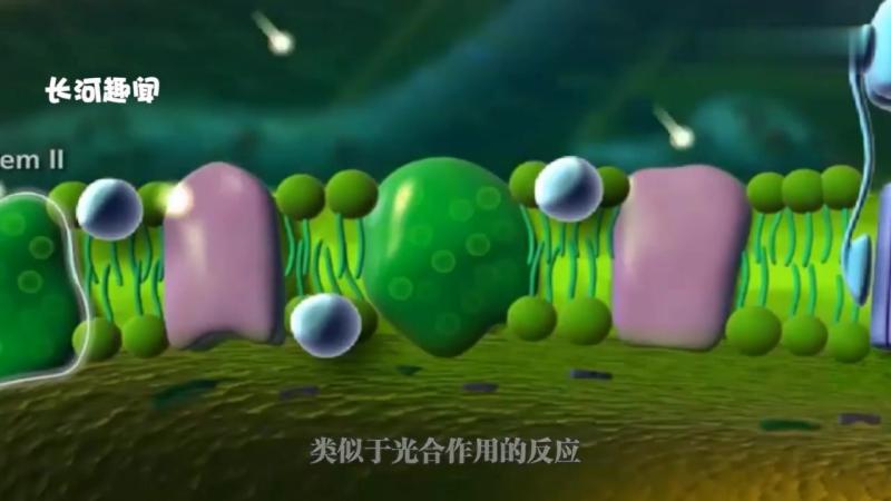 地外文明难被发现 科学家:或许是固有思维让我们走了弯路