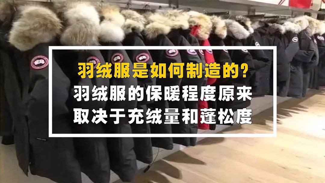 科普羽绒服制造全过程,羽绒服的保暖度原来取决于充绒量和蓬松度