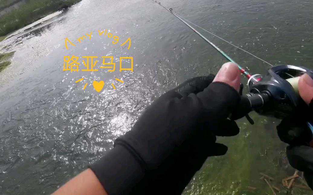 十一放假第一天,你们高速一日游,我在溪流撸悠悠。