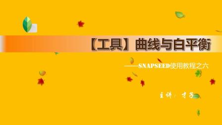 06-Snapseed使用教程六:【工具】曲线与白平衡