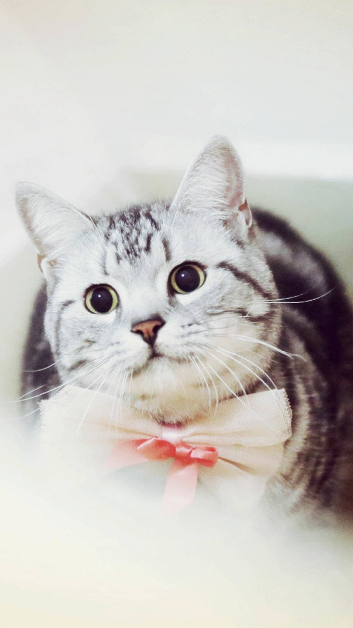 小吴带你聊影视 