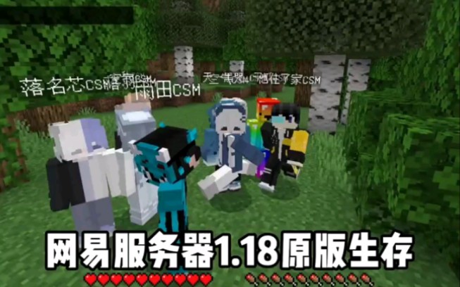 我的世界服务器1.18原版生存1
