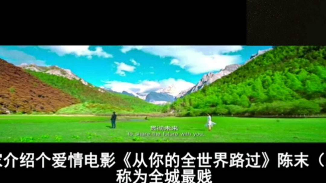 爱情电影《从你的是全世界路过》