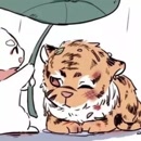 这个黑心的女人 