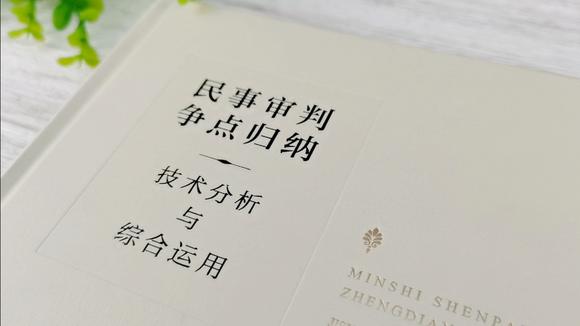 民事审判 争点归纳