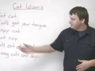Alex英语入门 加QQ2497101919获此套视频Cat Idioms in English