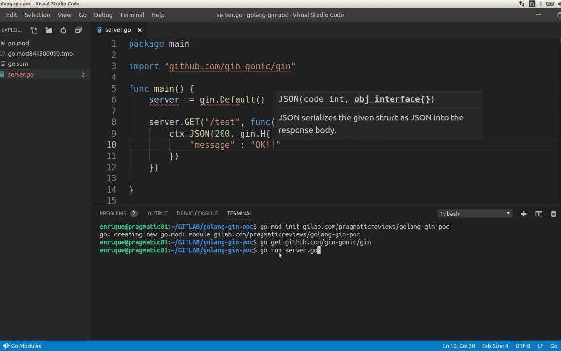 Golang/GO语言中的 Gin HTTP框架 (中文字幕)