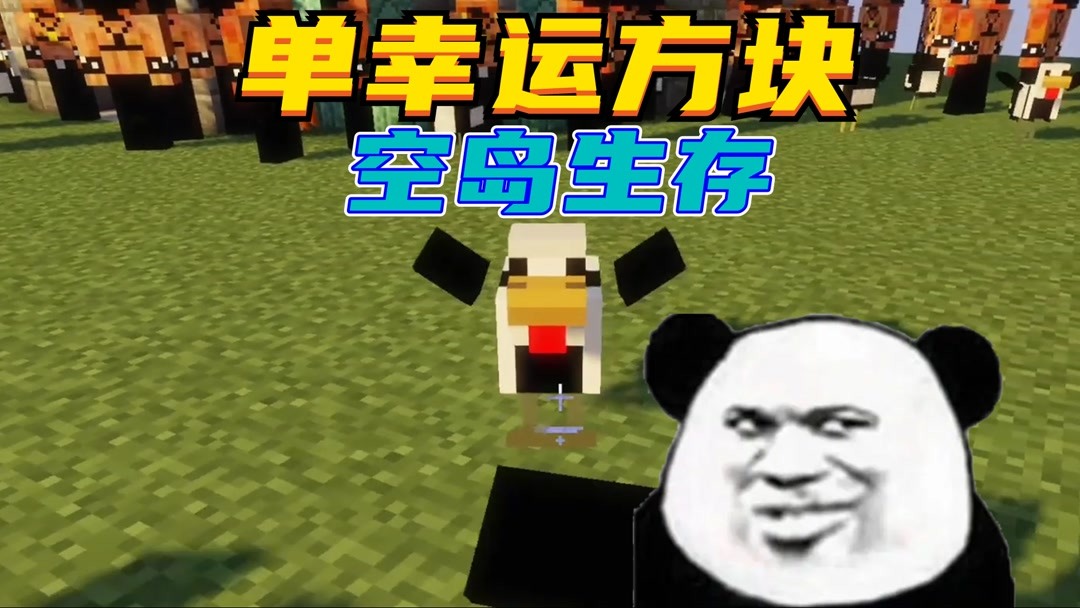 单幸运方块空岛生存5,鸡你太美引起了我的注意!