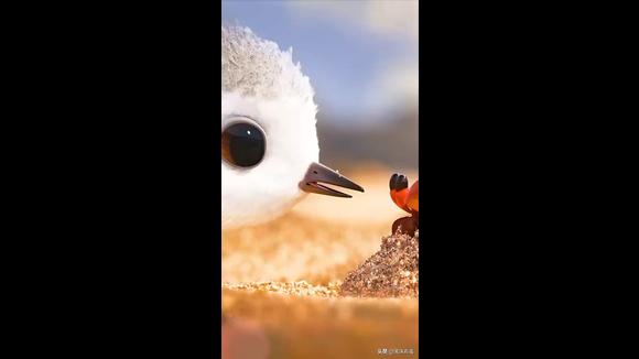 治愈系动画短片。