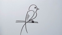 简笔画这么简单,教你用数字画小鸟