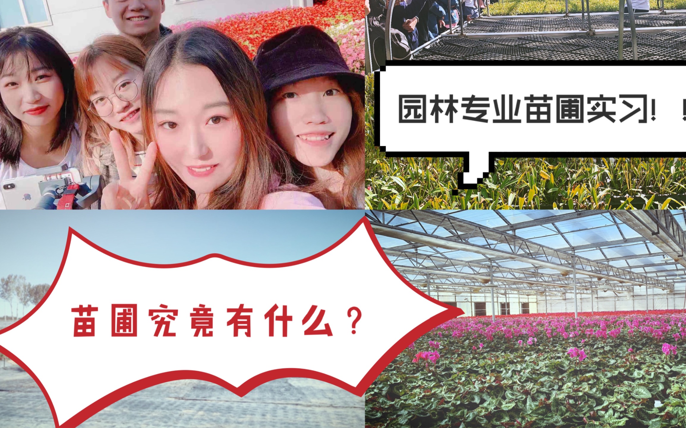 北京林业大学园林专业/女大学生去苗圃实习啦/如何在枯燥生活中寻找...