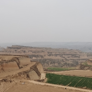 我的青春有点晚 