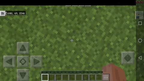 大家好,我是MC的新实况主播,如果你们知道怎么直播,请告诉我