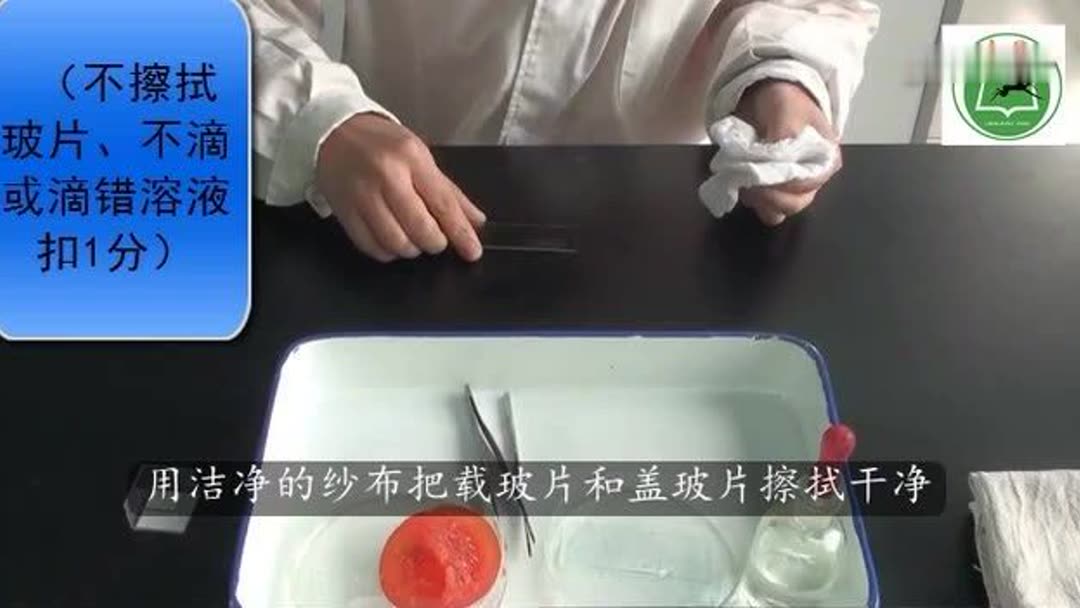 制作番茄果肉细胞临时装片(6分)