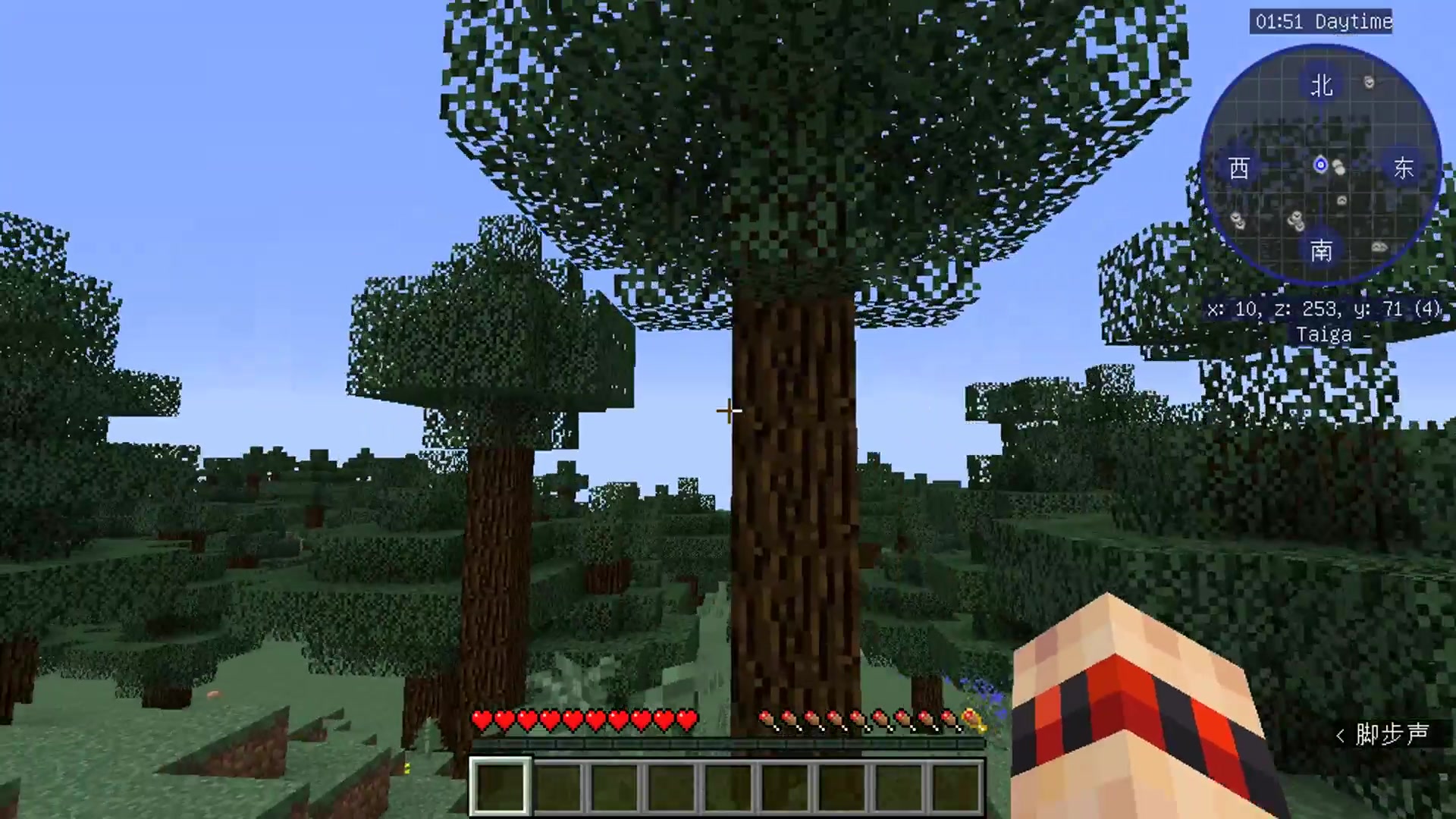 Minecraft 1.12.2 单机生存Ep1 矿界!盆栽!