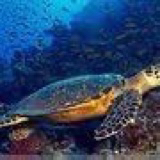 柏浩是你表弟 