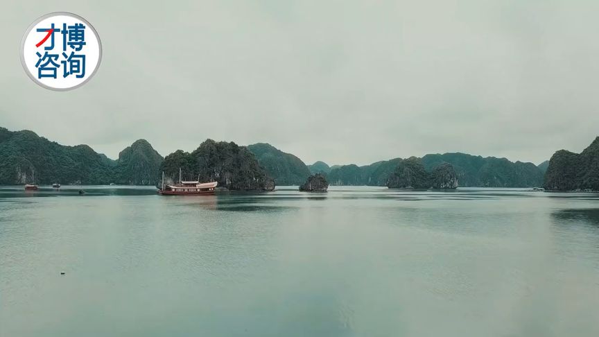 互联网+的平态性|商业模式设计(37)#商业模式 #新商业模式