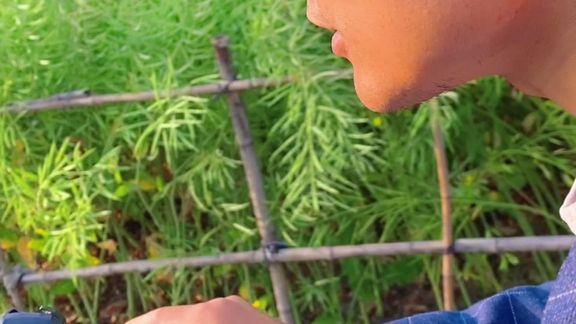 #奇妙出行记#五一旅行狂想计划 五一回家,正赶上逢会