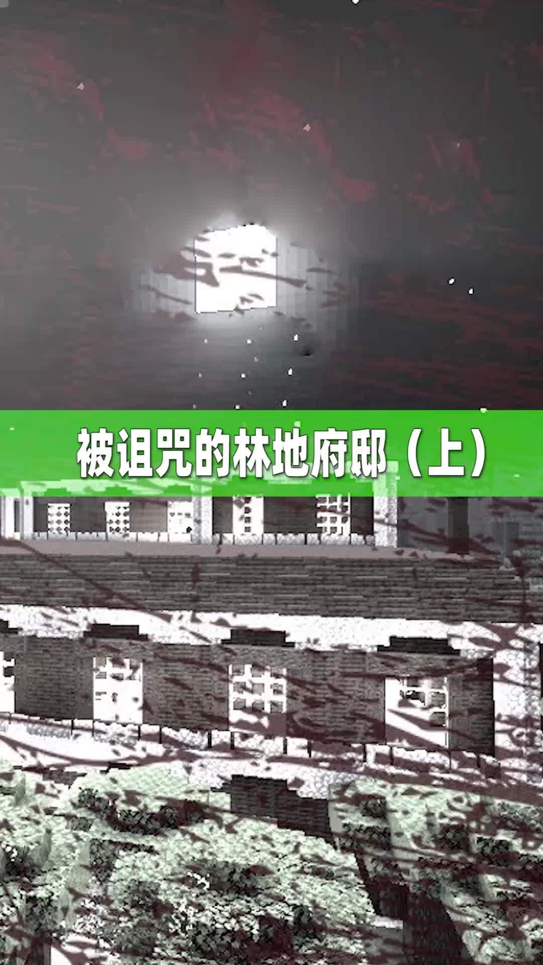 我的世界:玩家加载进了一个种子地图中,里面的林地府邸很奇怪!