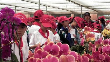 2019年大同市中小学生第二期综合实践活动掠影