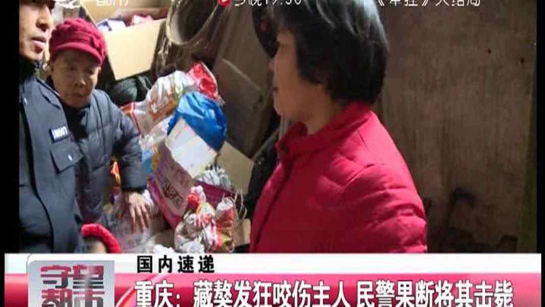   重庆:藏獒发狂咬伤主人民警果断将其击毙