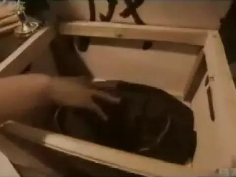 [纪录片] 谍战揭密系列之萤火虫行动