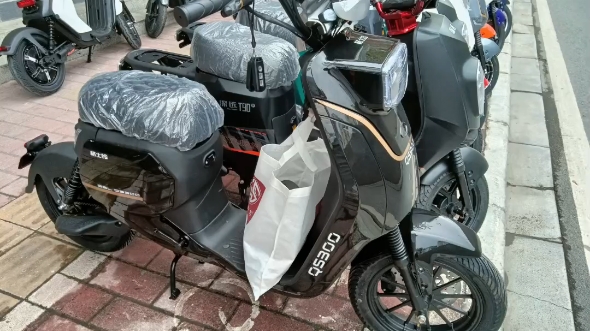 第7期电动车推荐来啦!你的白马骑士已送达!