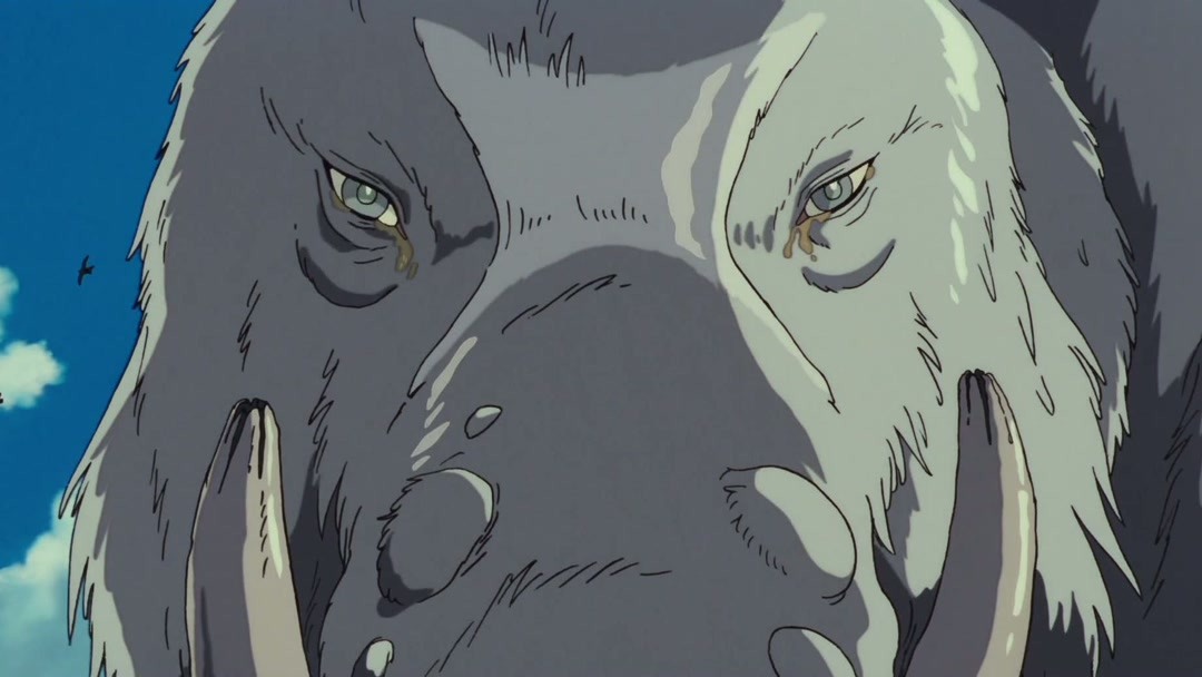 猪族长率领来自各地的猪开会 场面壮大