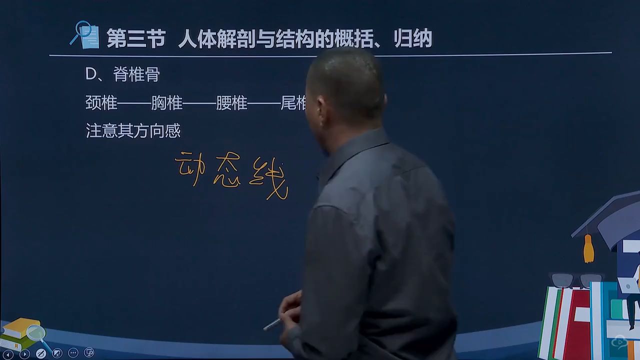 自考大专-动漫设计-人体结构的概括、归纳-5@环宇学航怎么样