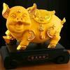 椰壳妈布～爱民 