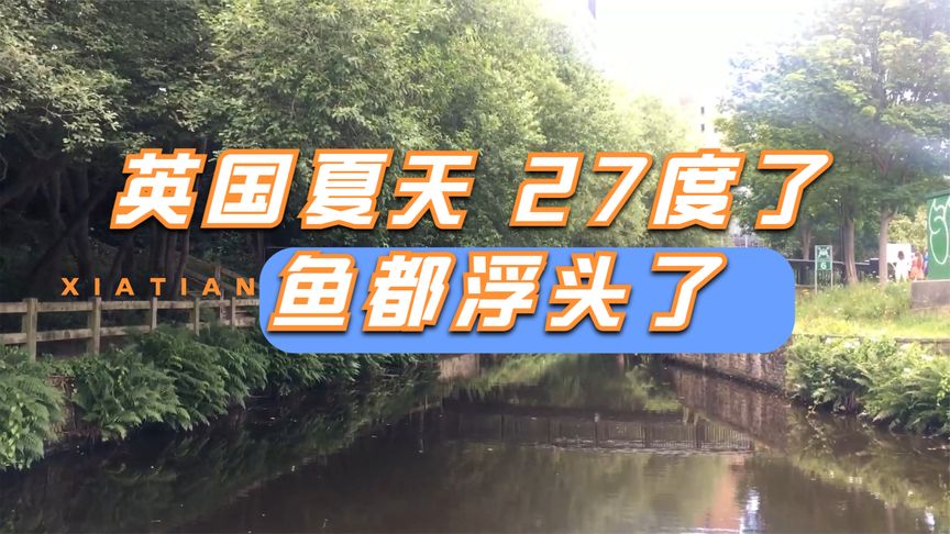 英国气温今天达到27度,运河里的鱼都浮头了,太热了
